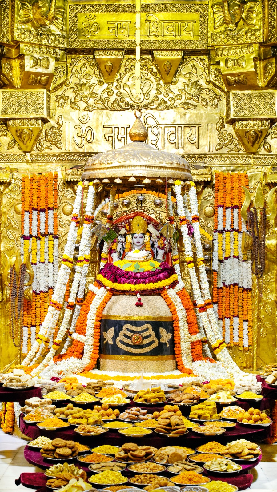 Jay Somnath | Somnath.org